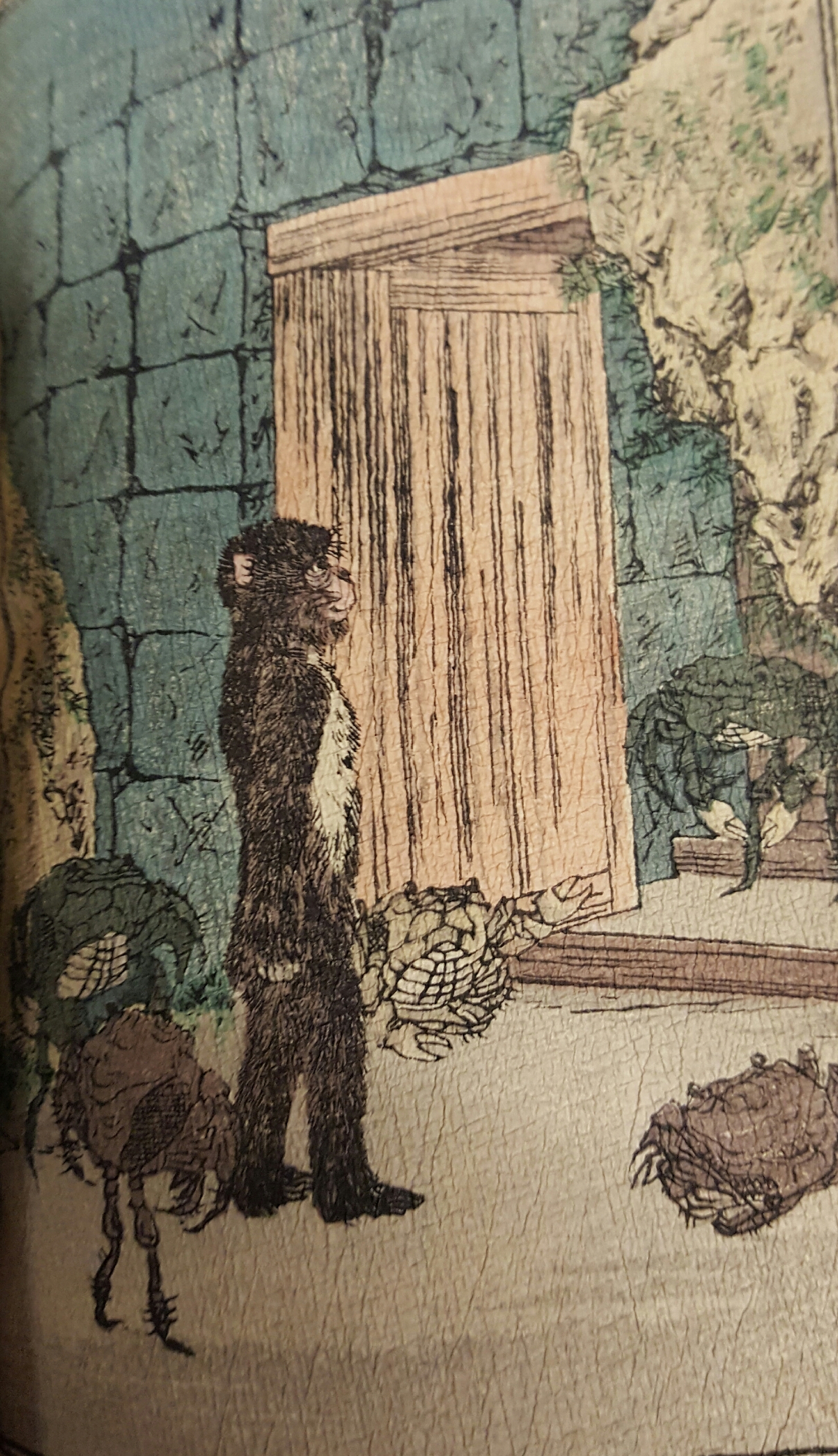 Once Upon a Time in Leeds Central Library – The Secret Library | Leeds ...