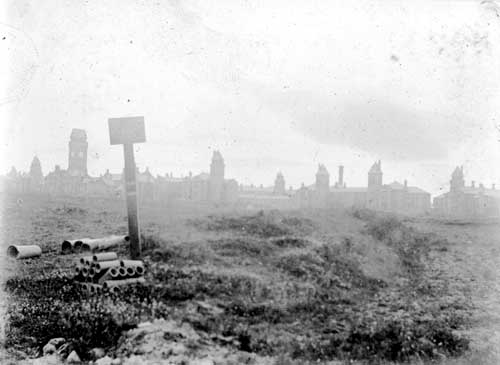 “Who was David and why should we remember him?” – The Secret Library ...