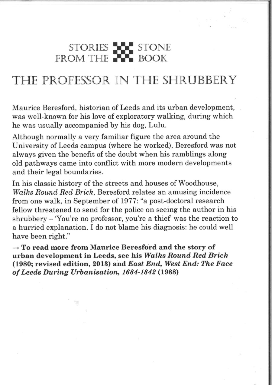 Stories from the Stone Book – The Secret Library | Leeds Libraries ...